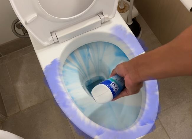 Toilet Seat Turning Blue: Reasons and Quick Solutions