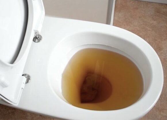 Can A Toilet Unclog Itself